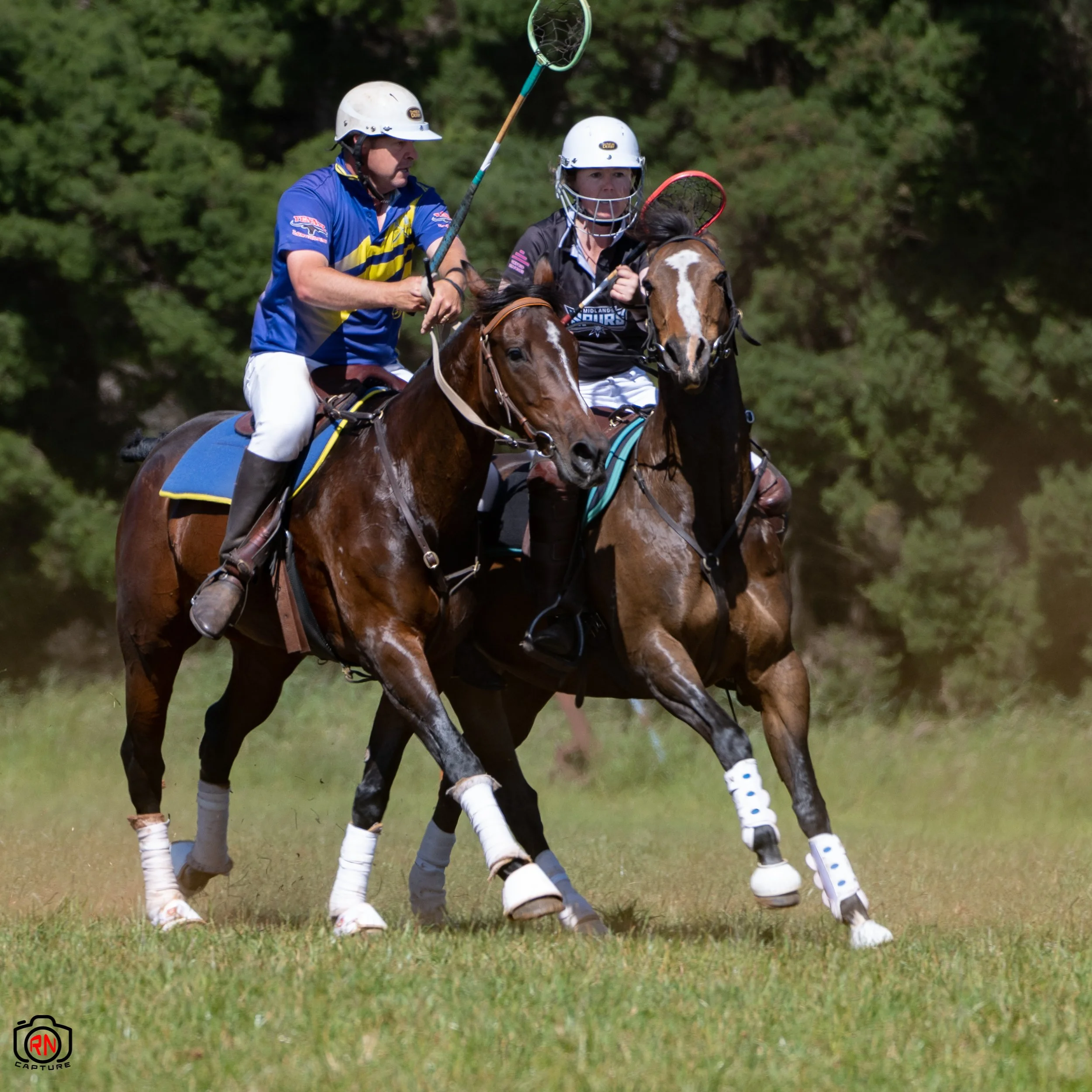 Look see at Polocrosse — Roger Nichols' Photos and Other Stuff