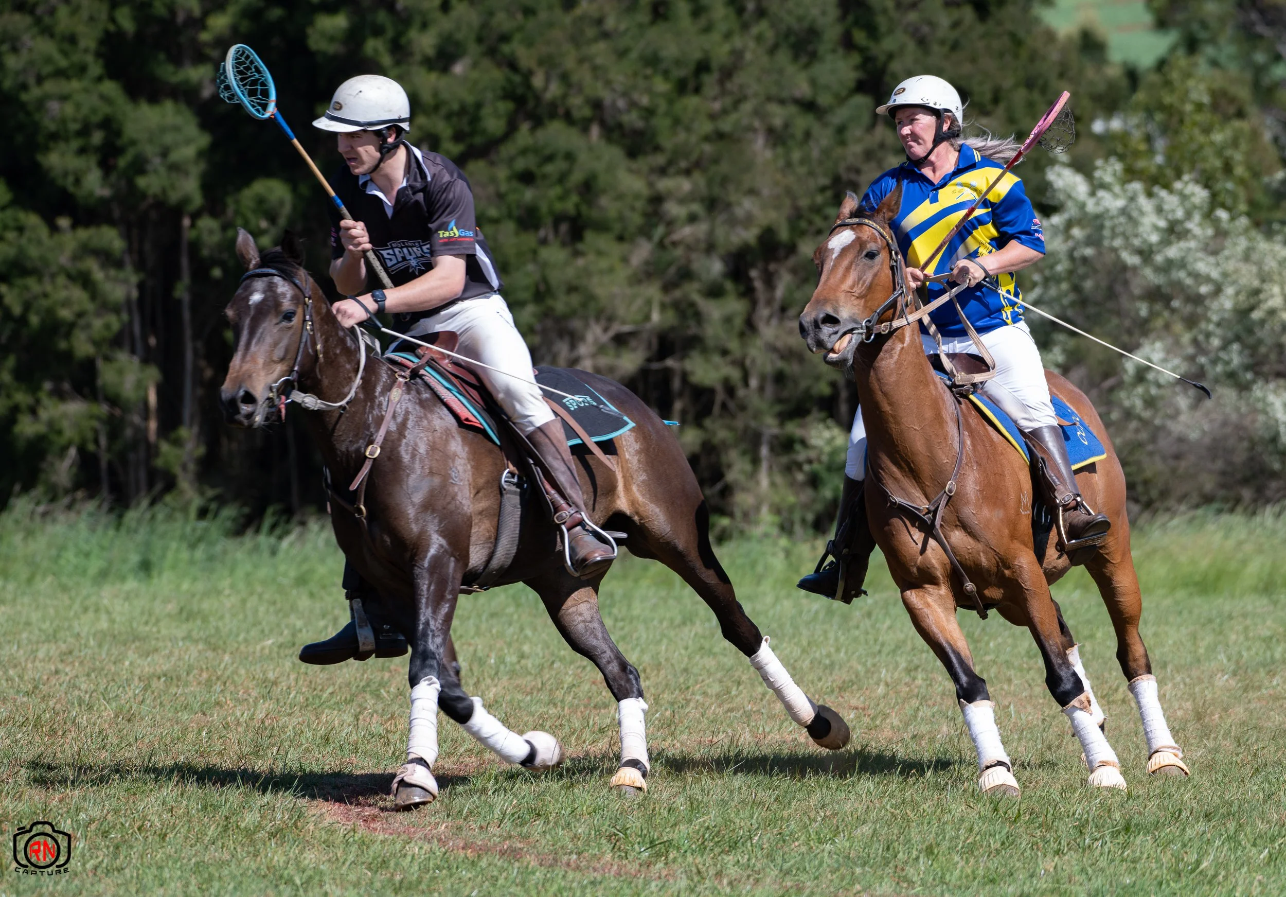 Look see at Polocrosse — Roger Nichols' Photos and Other Stuff