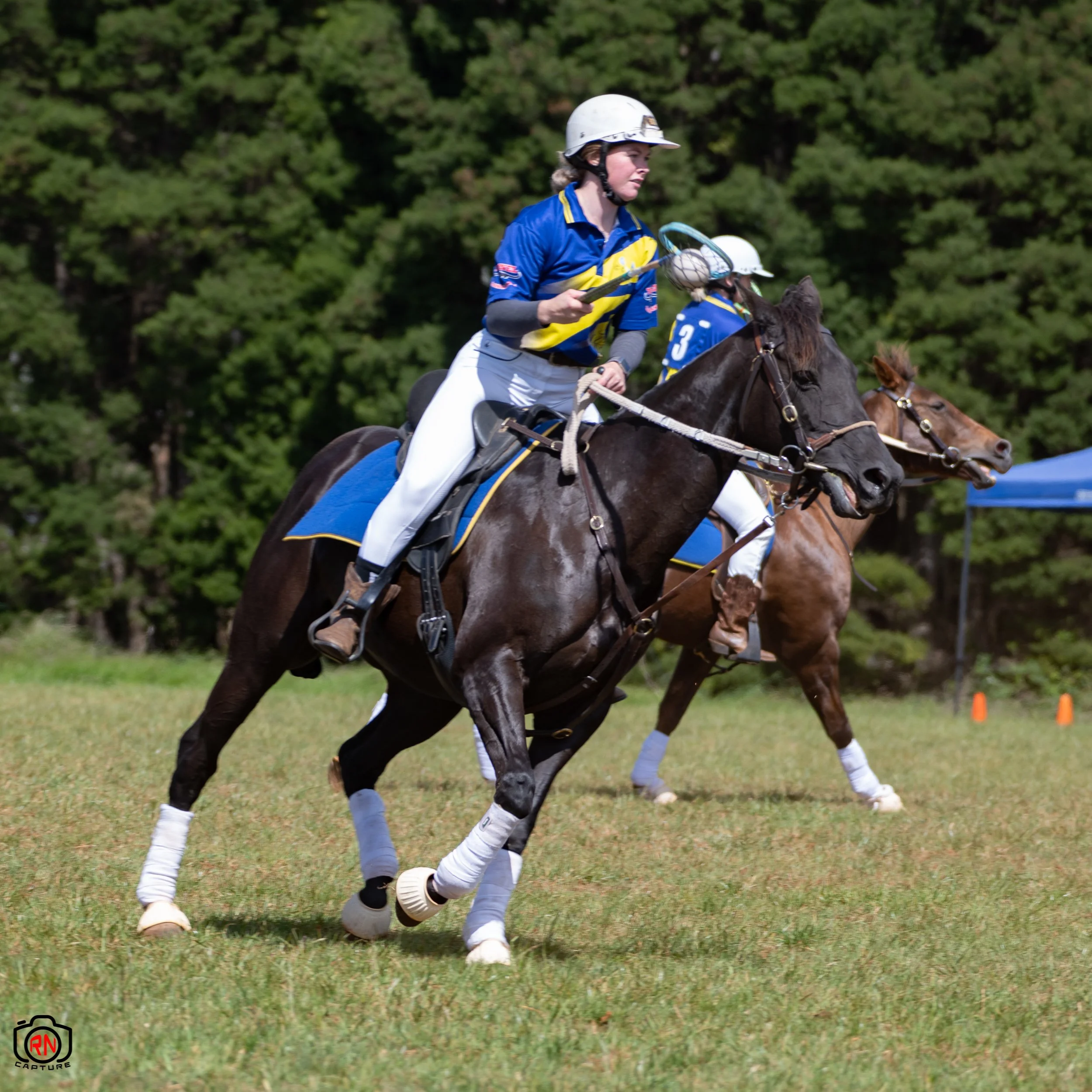 Look see at Polocrosse — Roger Nichols' Photos and Other Stuff