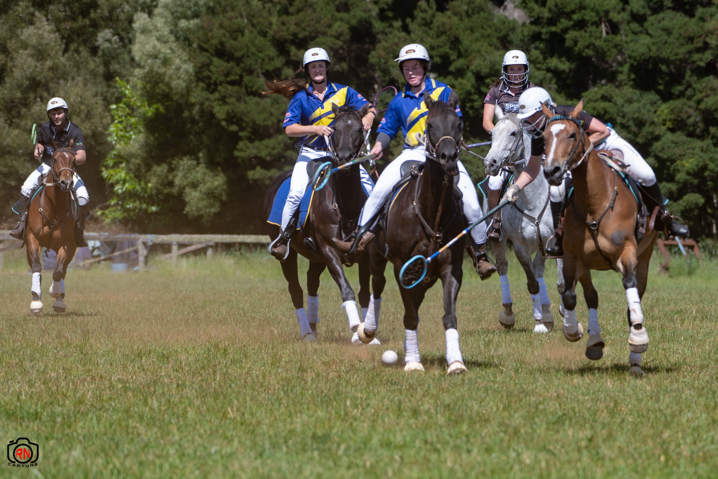 Look see at Polocrosse — Roger Nichols' Photos and Other Stuff