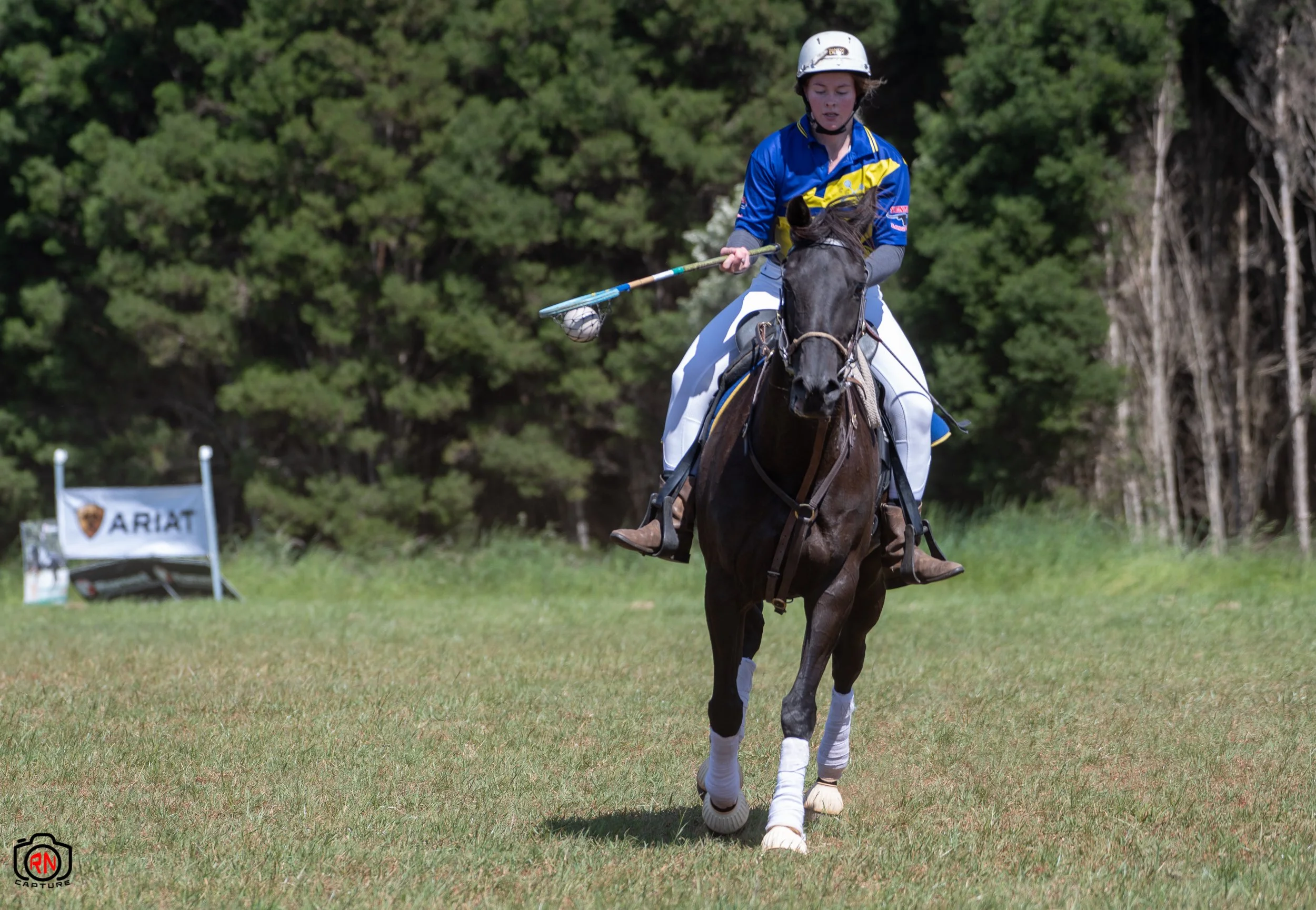 Look see at Polocrosse — Roger Nichols' Photos and Other Stuff