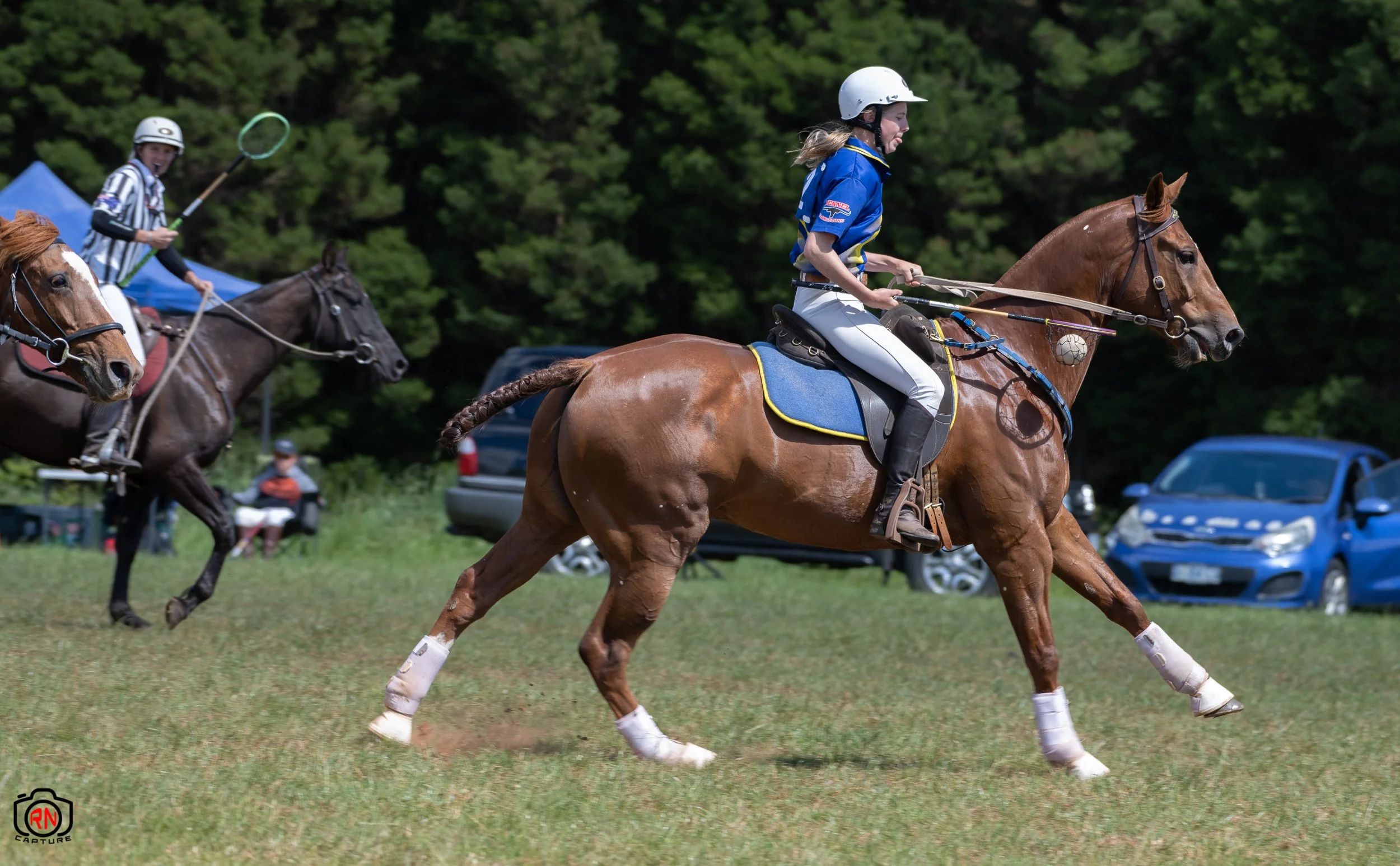 Look see at Polocrosse — Roger Nichols' Photos and Other Stuff