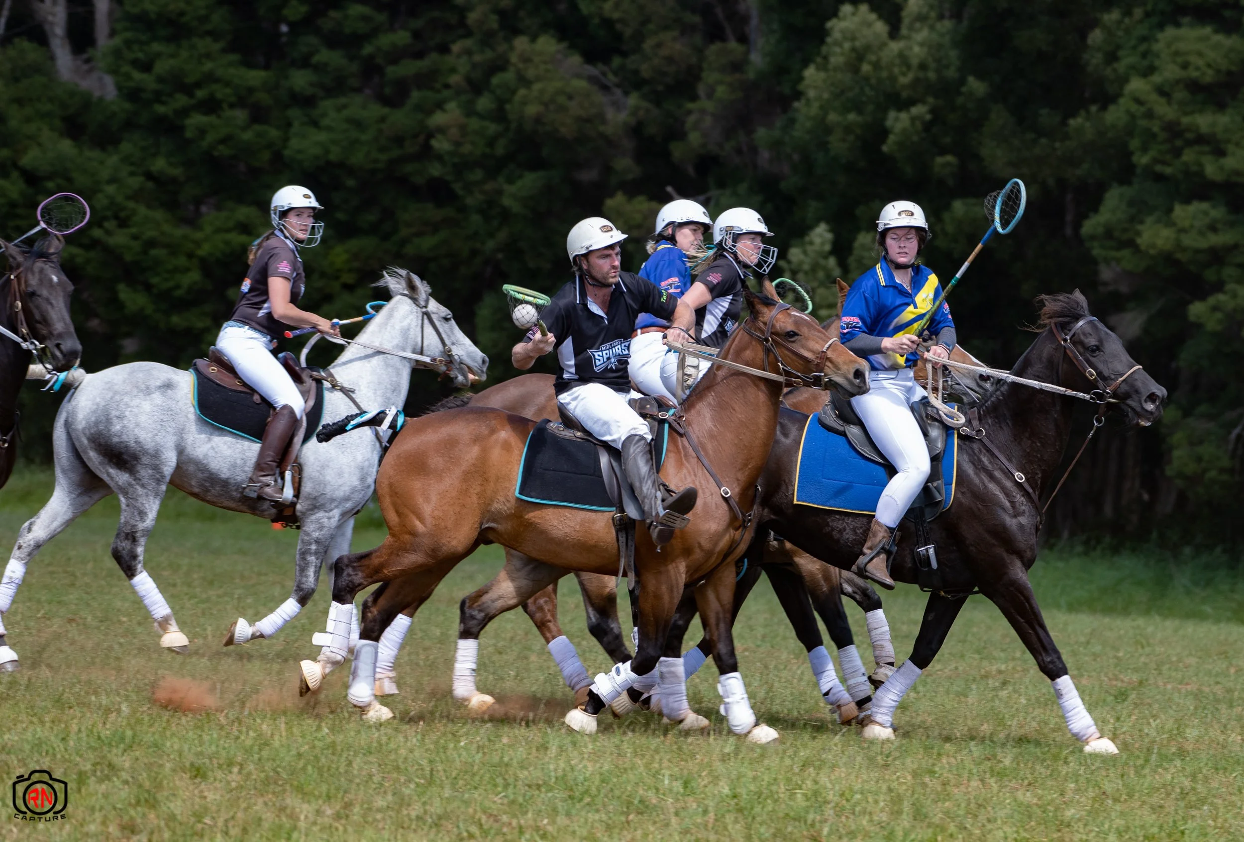Look see at Polocrosse — Roger Nichols' Photos and Other Stuff