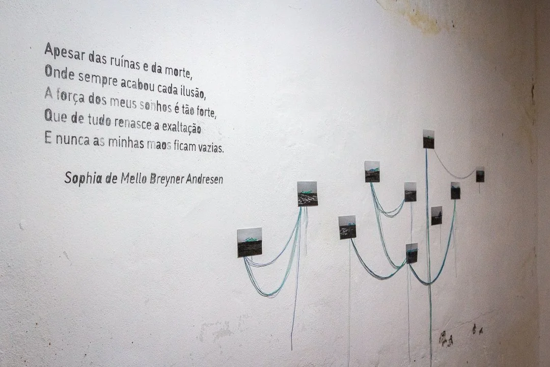 Enough to imagine | Explore Your Passion — Vera Naydenova