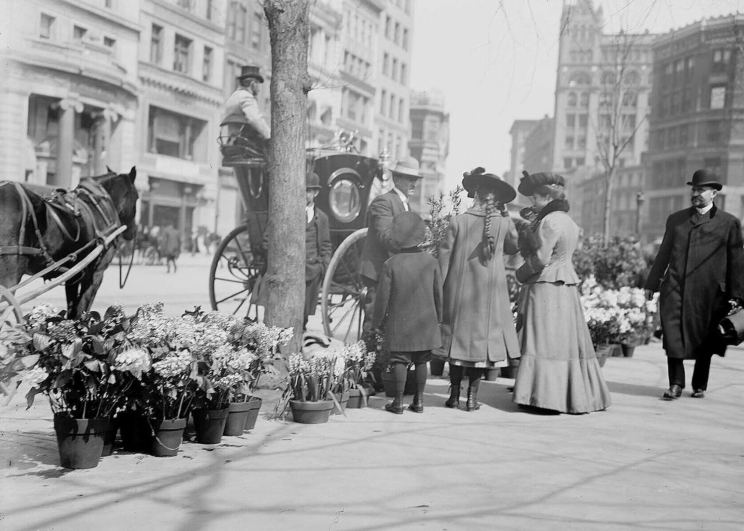 Our Instructors: New York Flower District — New York's Historic Floral ...