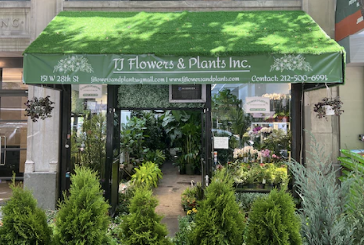 Plants and Floral — New York's Historic Floral District