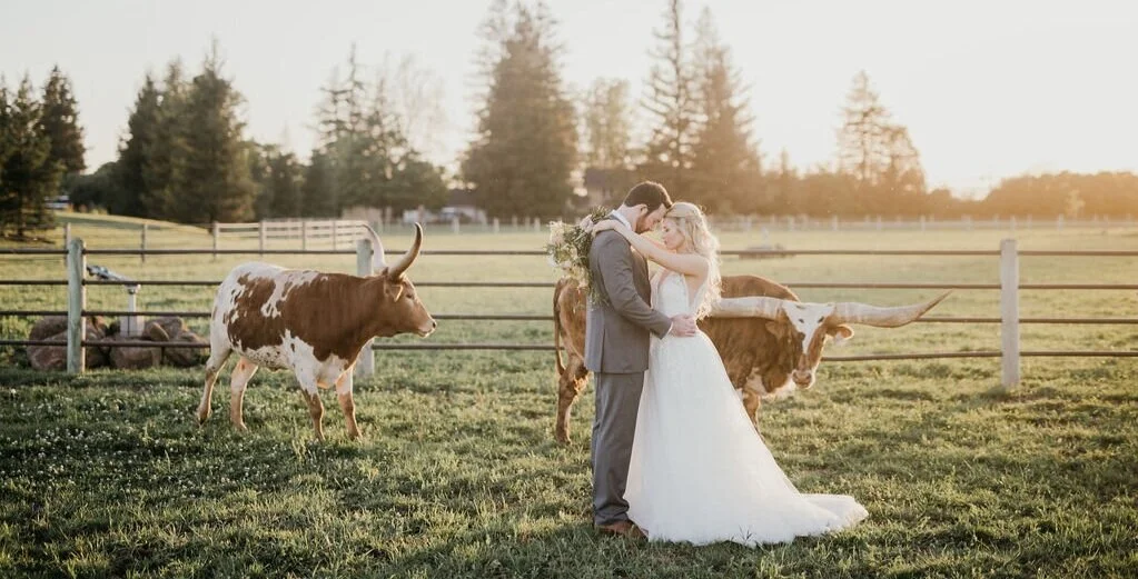 The Ranch at Lone Oak Longhorns