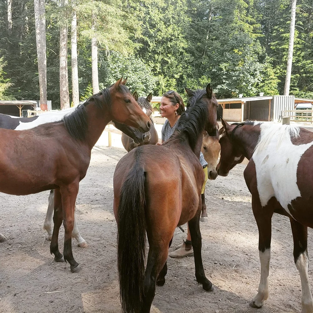 About SCCR — Second Chance Cheekye Ranch