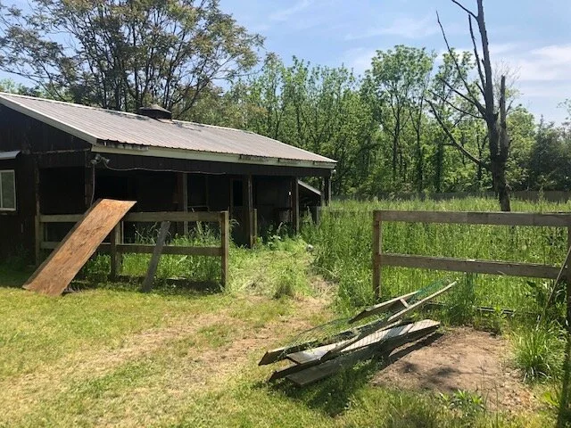 PAWS Farm