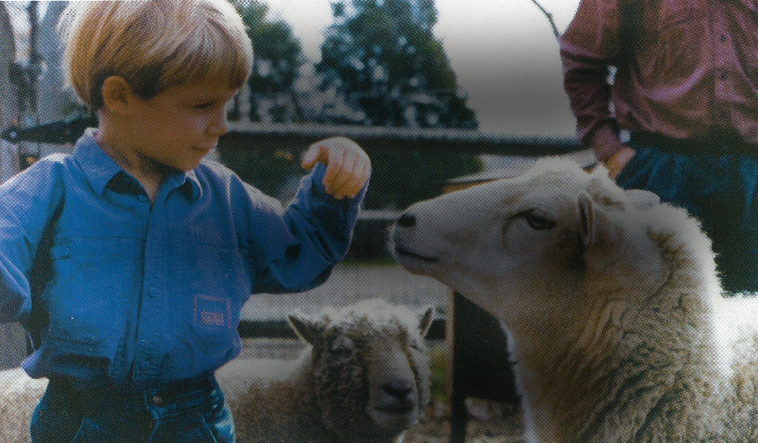 Our Mission — PAWS Farm