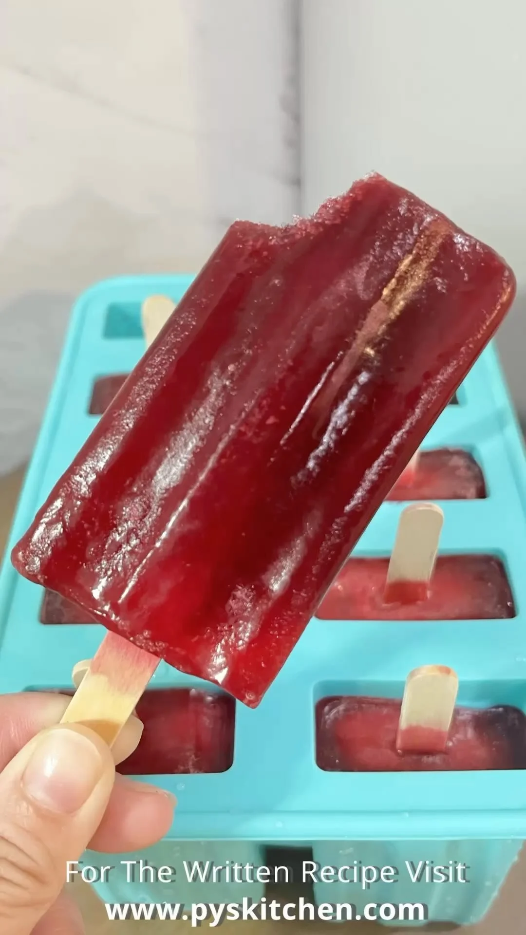 Chinese Dim Sum Beef Tripe Recipe | 牛百叶 — PY's Kitchen | Homemade Recipes