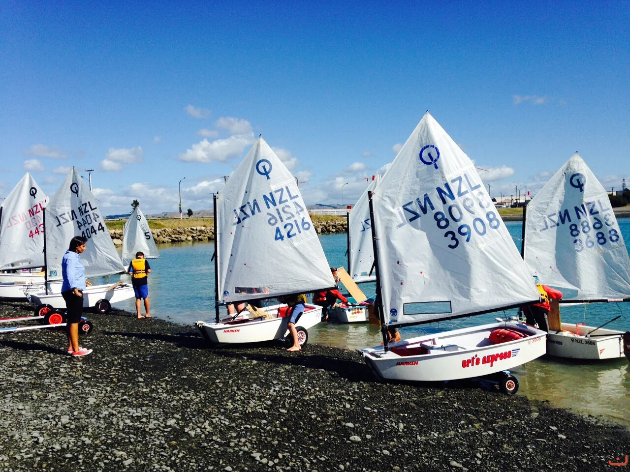 Our Fleet & Classes — Napier Sailing Club