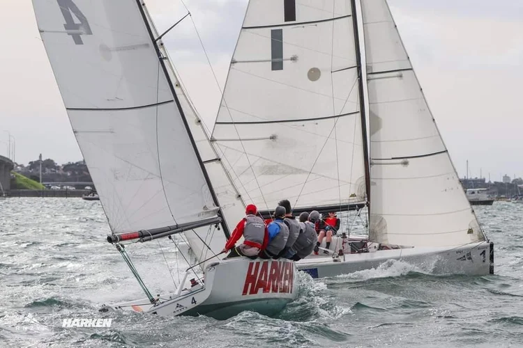 Gallery — Napier Sailing Club