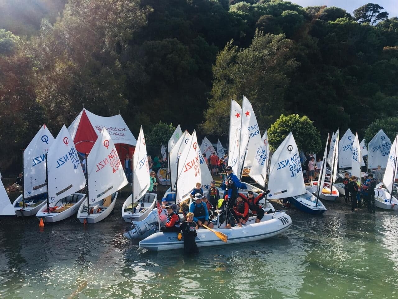 Gallery — Napier Sailing Club