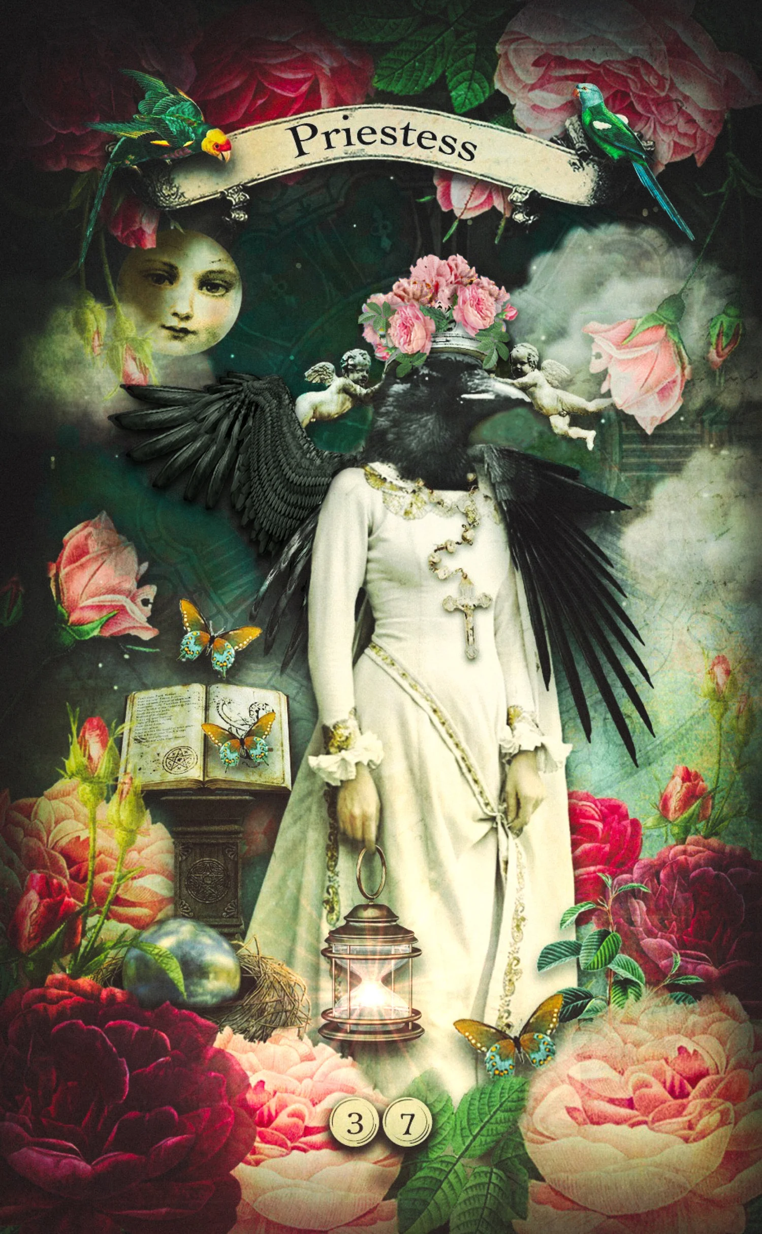 Tarot of the Rose Trilogy – Tarot, Oracle & Lenormand Decks for ...