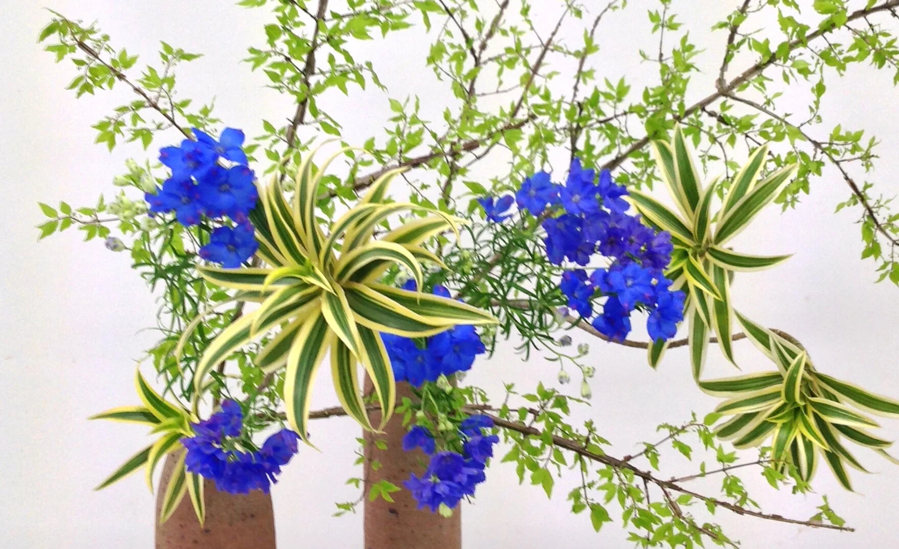 aya tanaka floralart