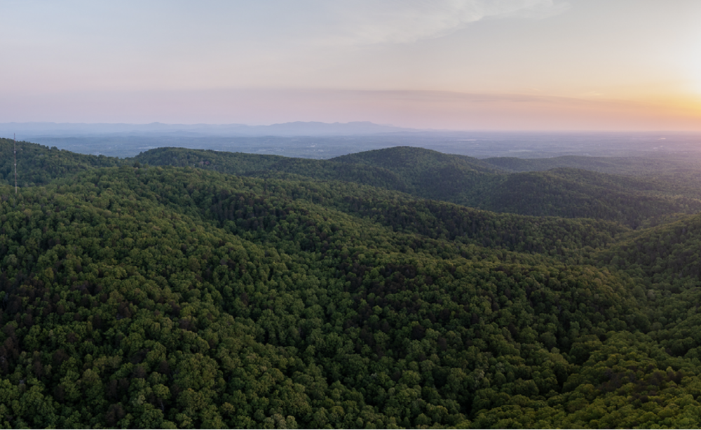 Shiloh Ridge at Paris Mountain — Greenville County Historic & Natural ...