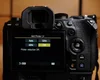 OM System OM-1 – Electronic Viewfinder and Live View Expert Guide — thomas eisl