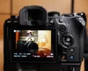 OM System OM-1 – Electronic Viewfinder and Live View Expert Guide ...