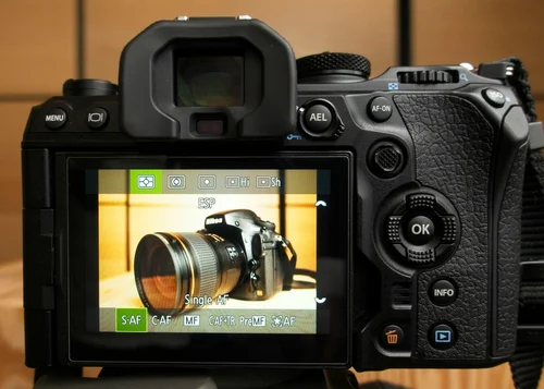 OM System OM-1 – Autofocus System Expert Guide — thomas eisl