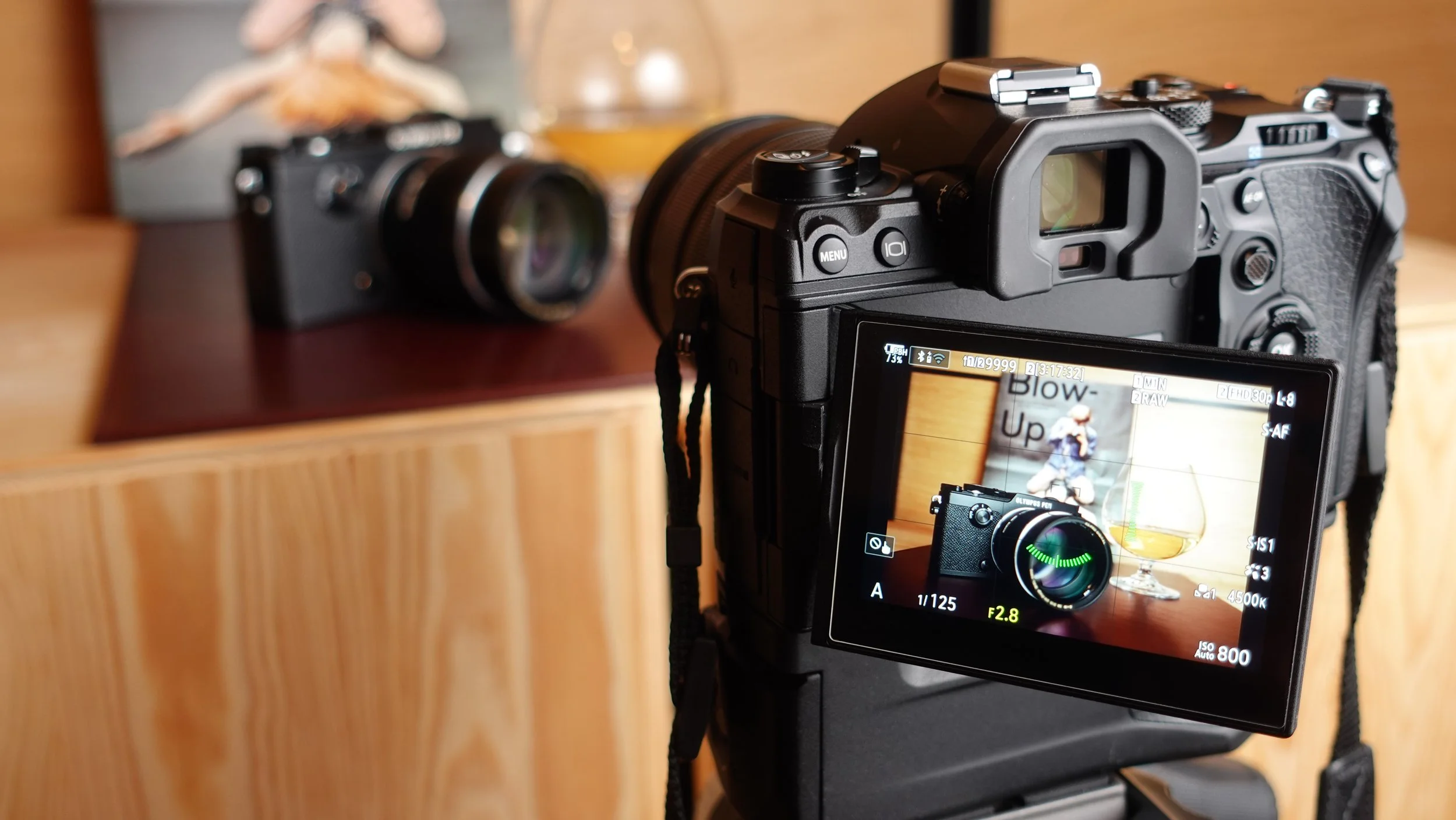 OM System OM-1 – Electronic Viewfinder and Live View Expert Guide — thomas eisl