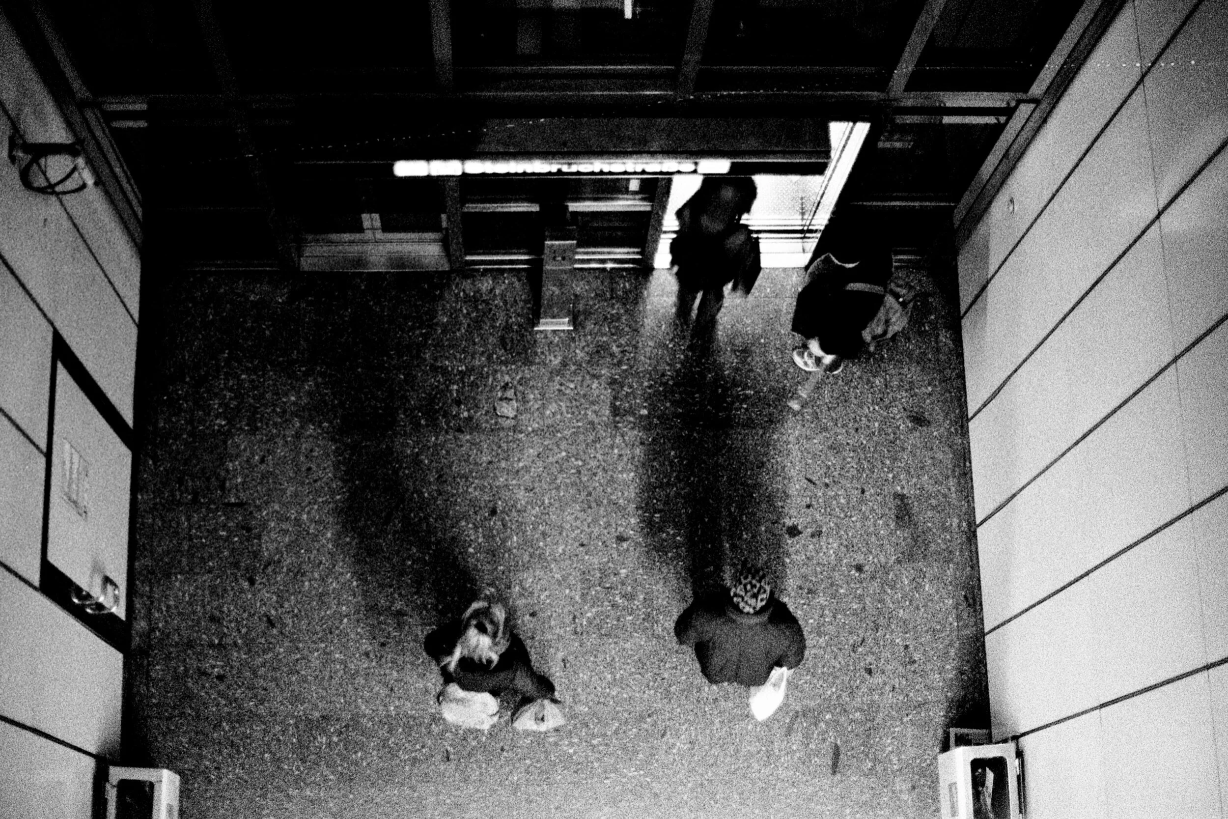 Minolta Maxxum 9 / Dynax 9 / Alpha 9 — Photography by Thomas Eisl