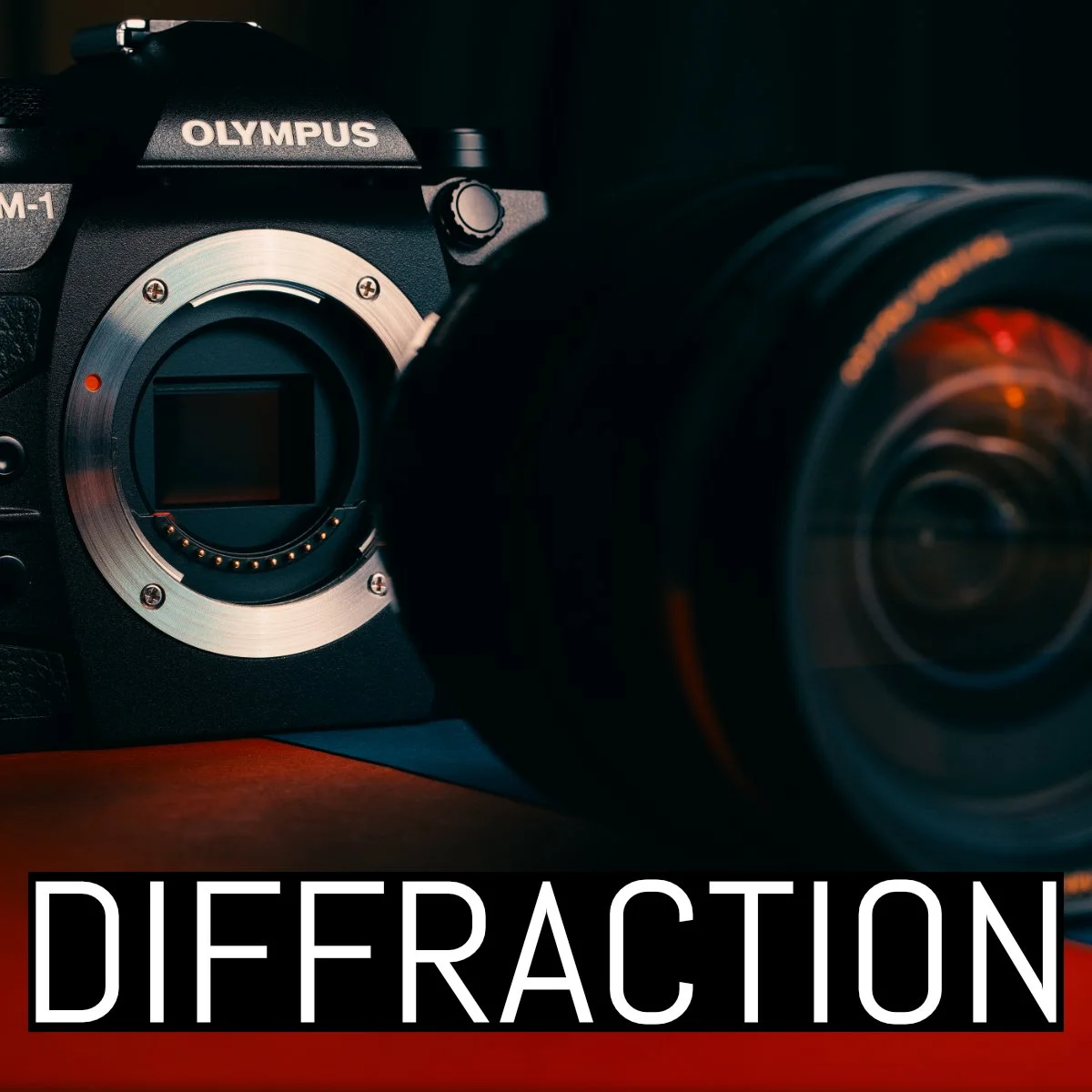 Articles — thomas eisl