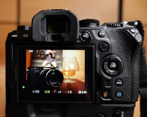 OM System OM-1 – Electronic Viewfinder and Live View Expert Guide ...