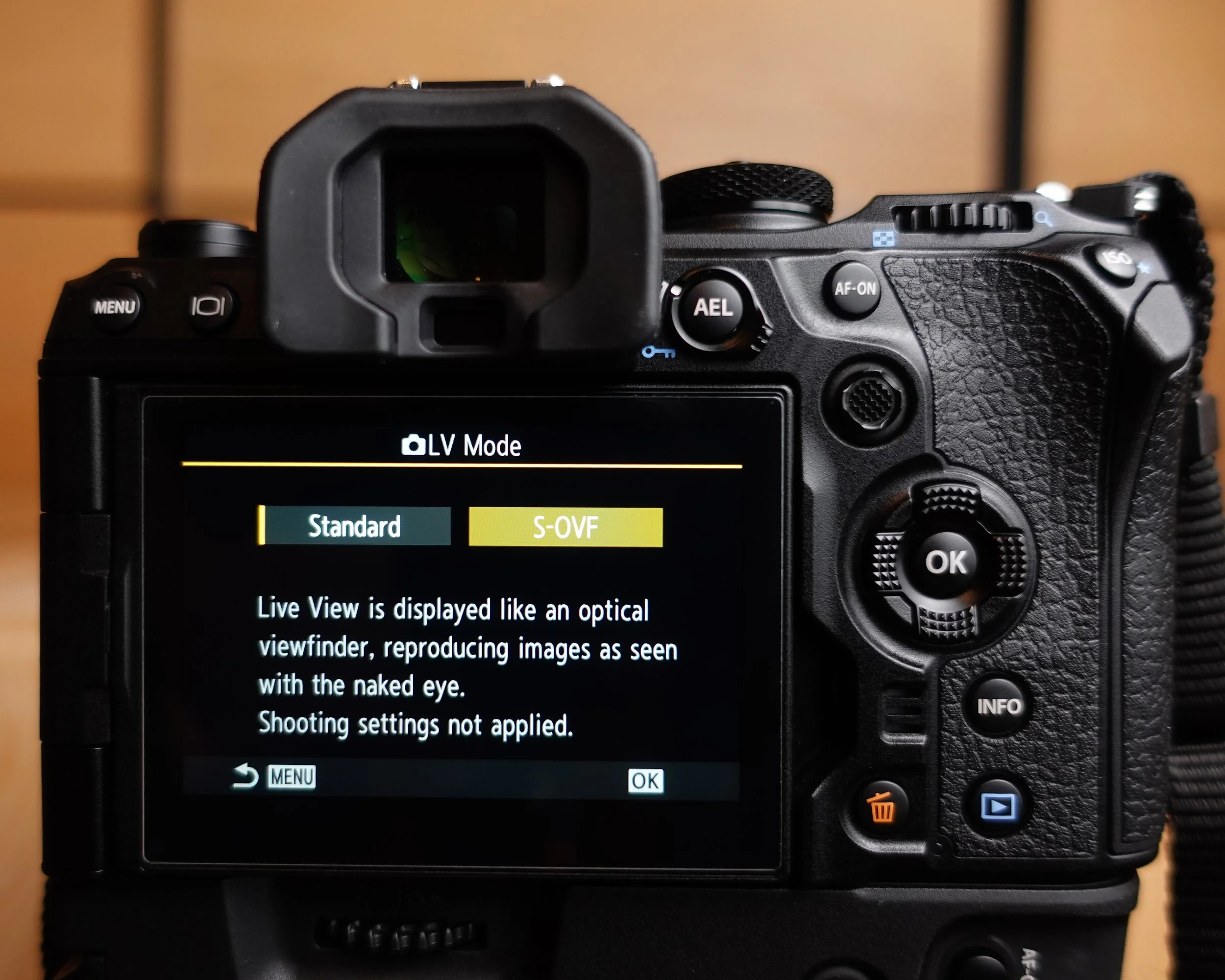 OM System OM-1 – Electronic Viewfinder and Live View Expert Guide ...