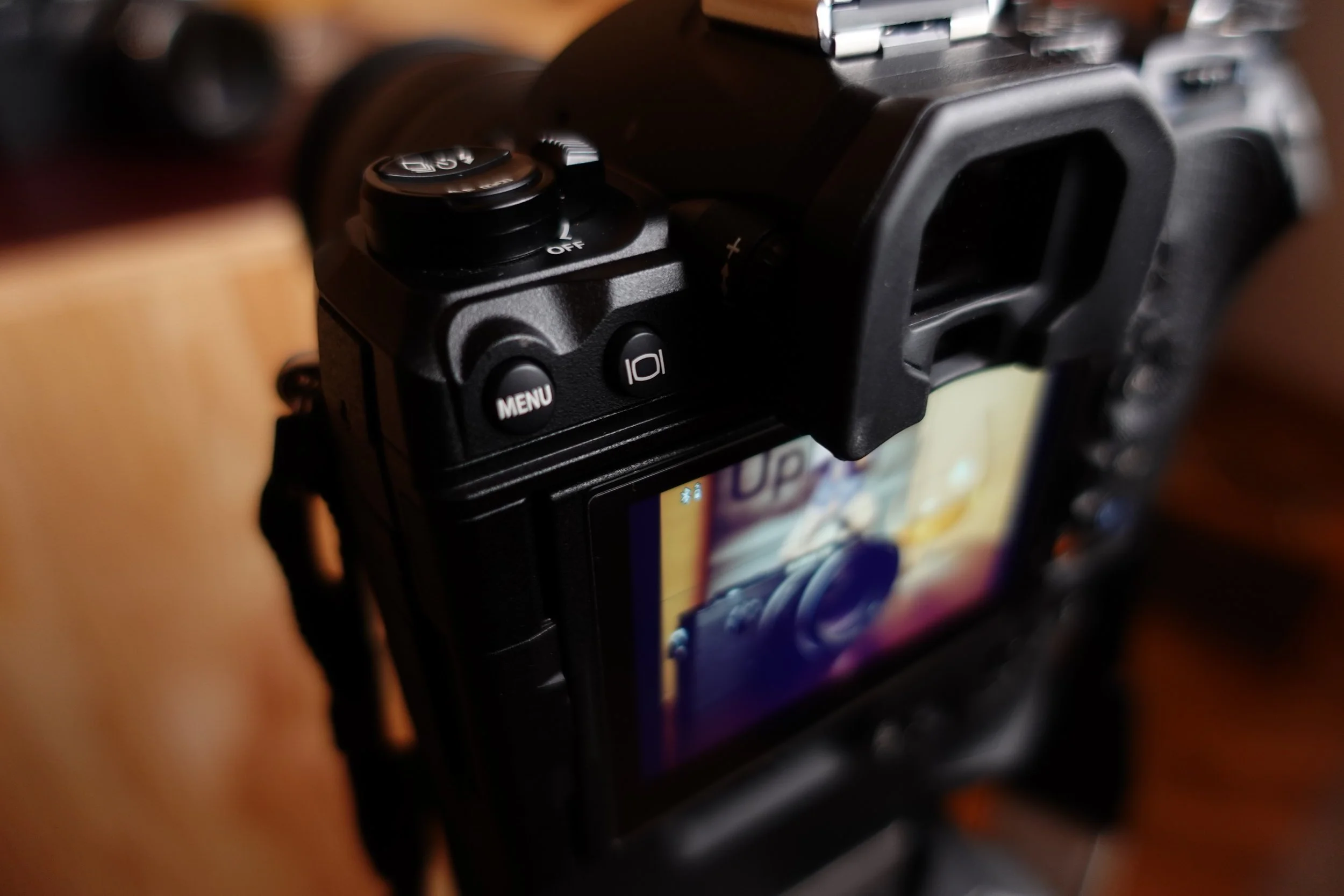 OM System OM-1 – Electronic Viewfinder and Live View Expert Guide ...