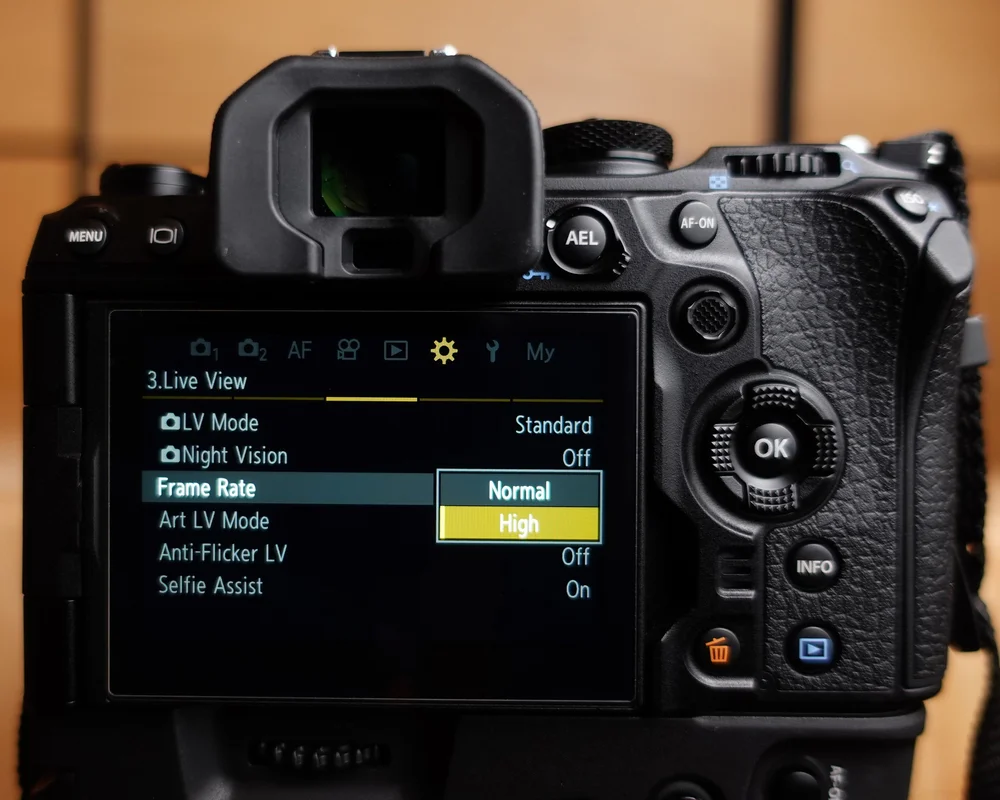 OM System OM-1 – Electronic Viewfinder and Live View Expert Guide — thomas eisl