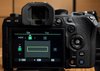 OM System OM-1 – Autofocus System Expert Guide — thomas eisl