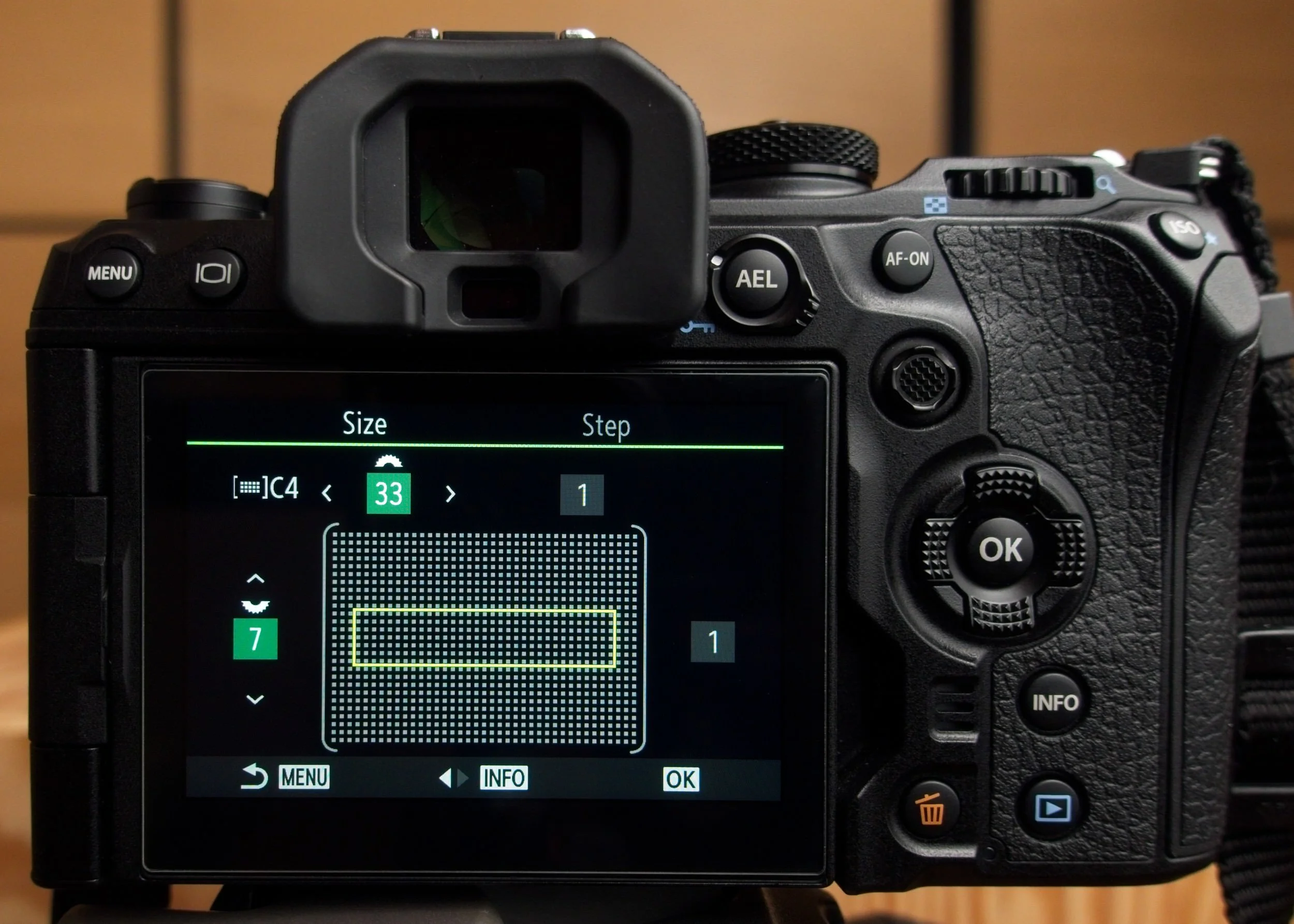 OM System OM-1 – Autofocus System Expert Guide — thomas eisl