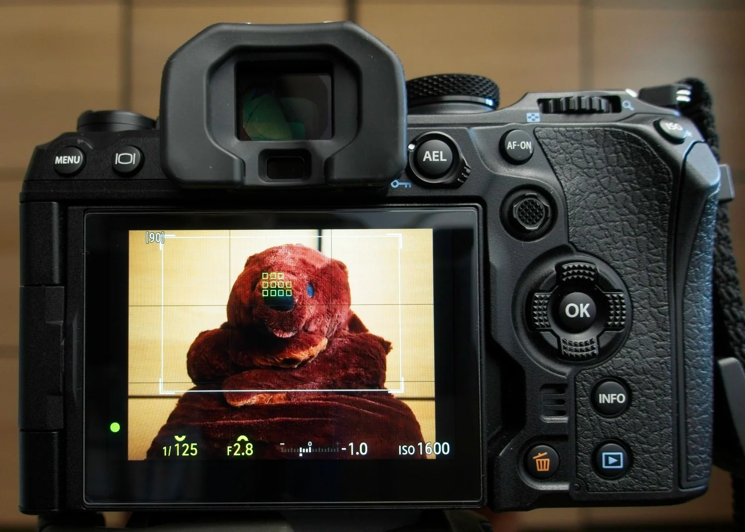 OM System OM-1 – Autofocus System Expert Guide — thomas eisl