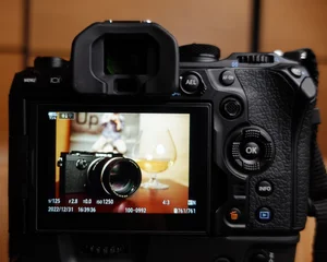 OM System OM-1 – Electronic Viewfinder and Live View Expert Guide ...