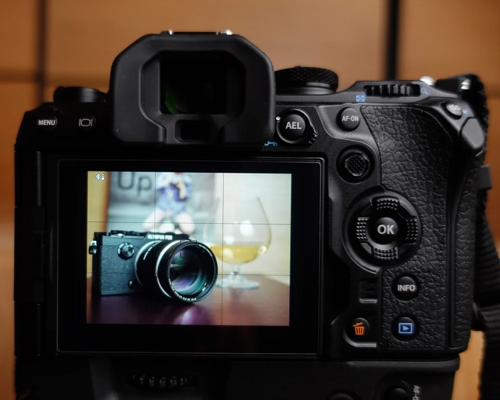 OM System OM-1 – Electronic Viewfinder and Live View Expert Guide ...