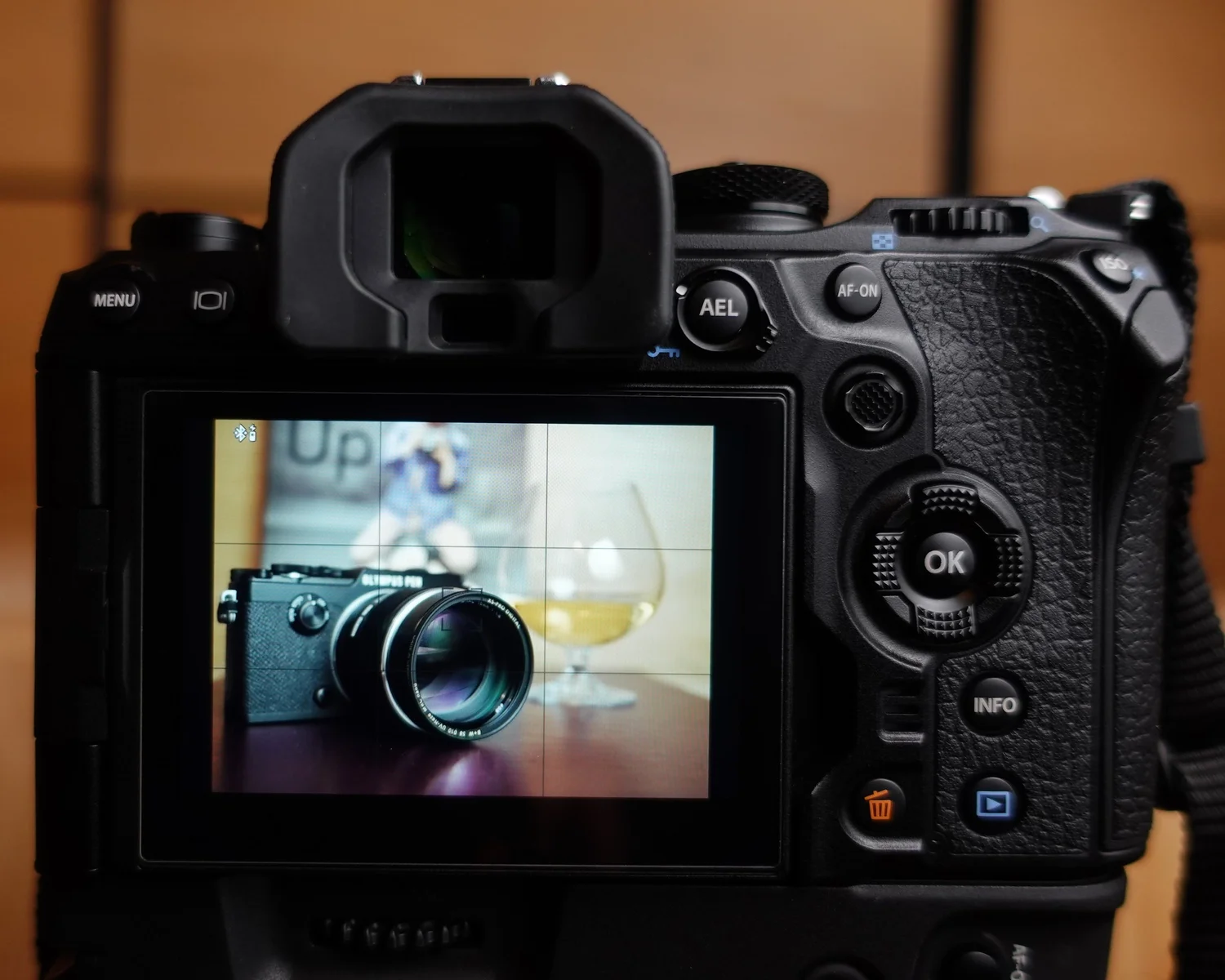 OM System OM-1 – Electronic Viewfinder and Live View Expert Guide ...