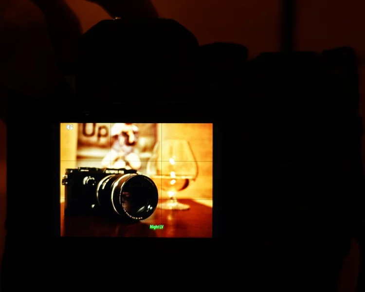 OM System OM-1 – Electronic Viewfinder and Live View Expert Guide ...