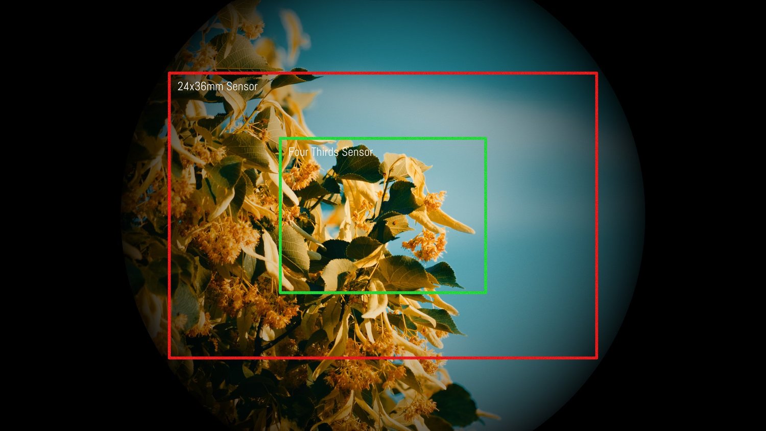 Adapting Lenses To Micro Four Thirds — thomas eisl avantgarde.photography