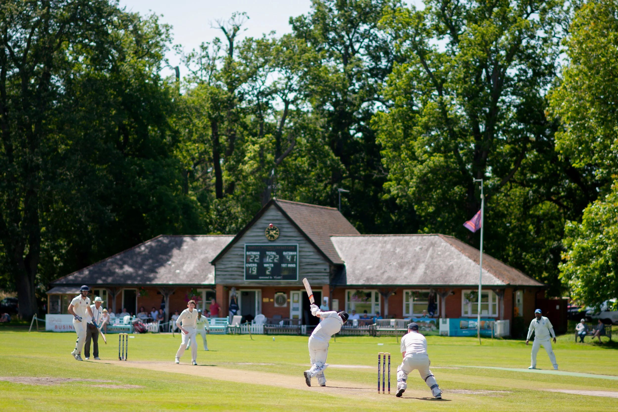 The Cricket Connection