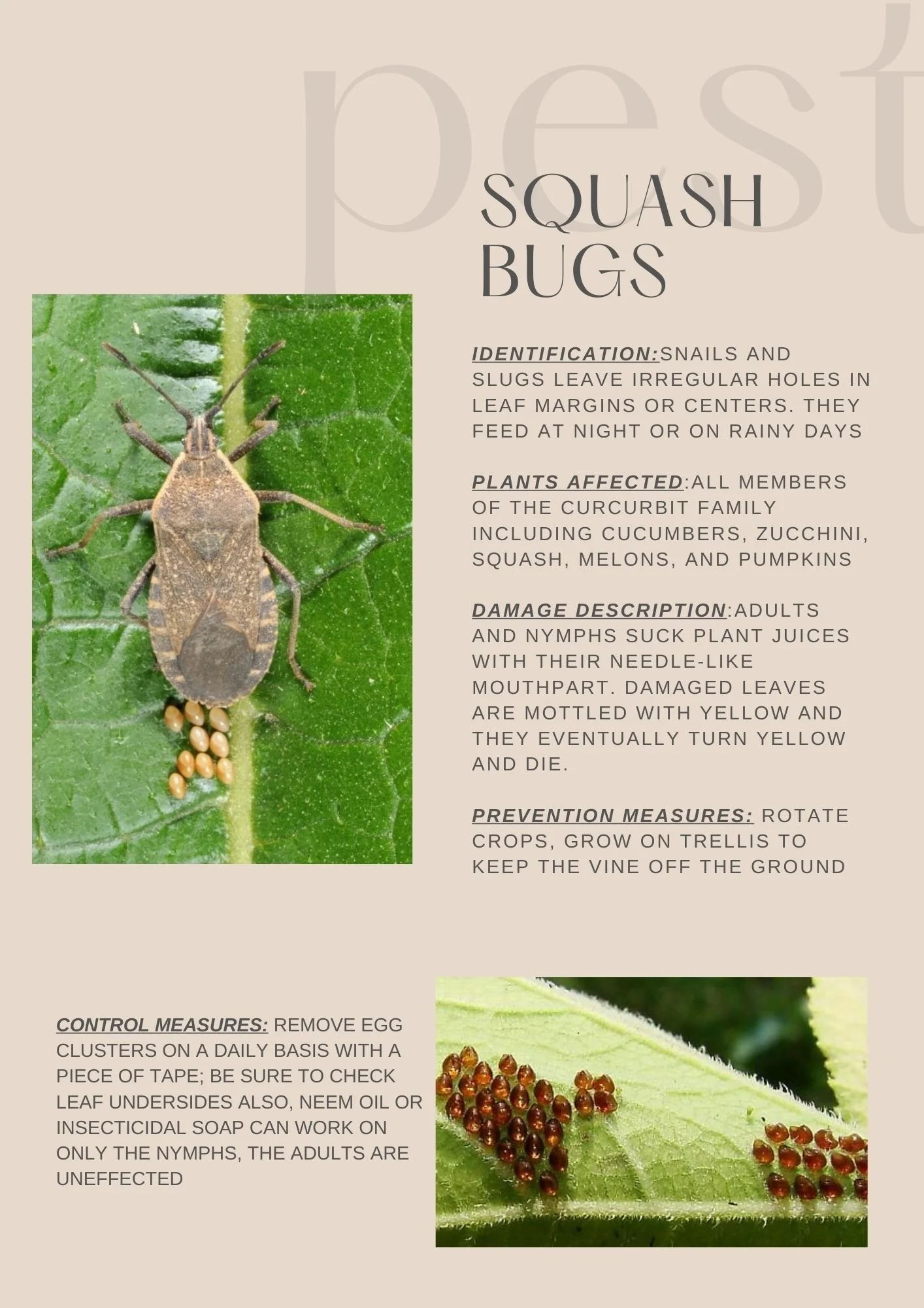 H & H Store — Homegrown and Harvested