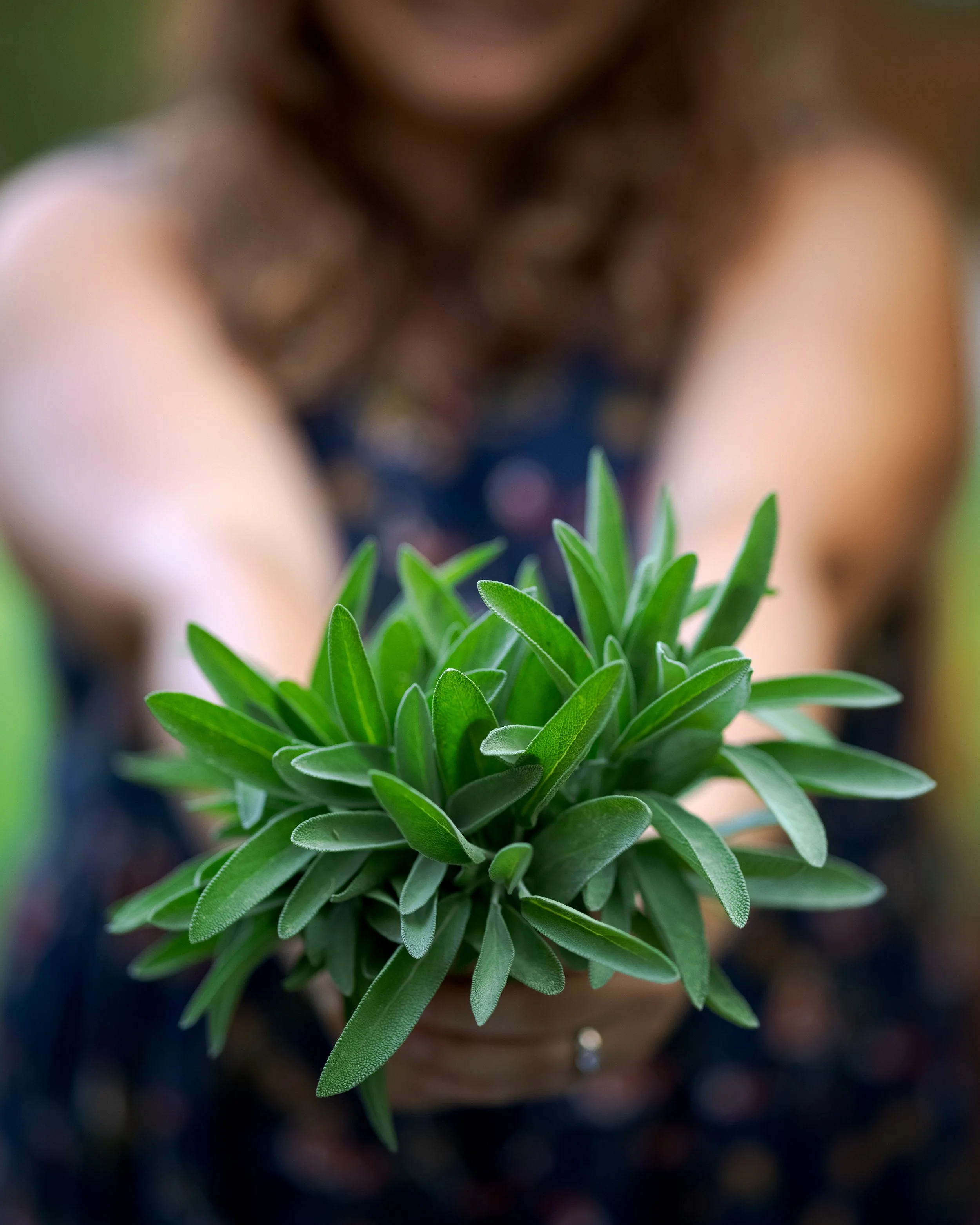 Cultivating Serenity: Unveiling the Mental Health Wonders of Mindful ...