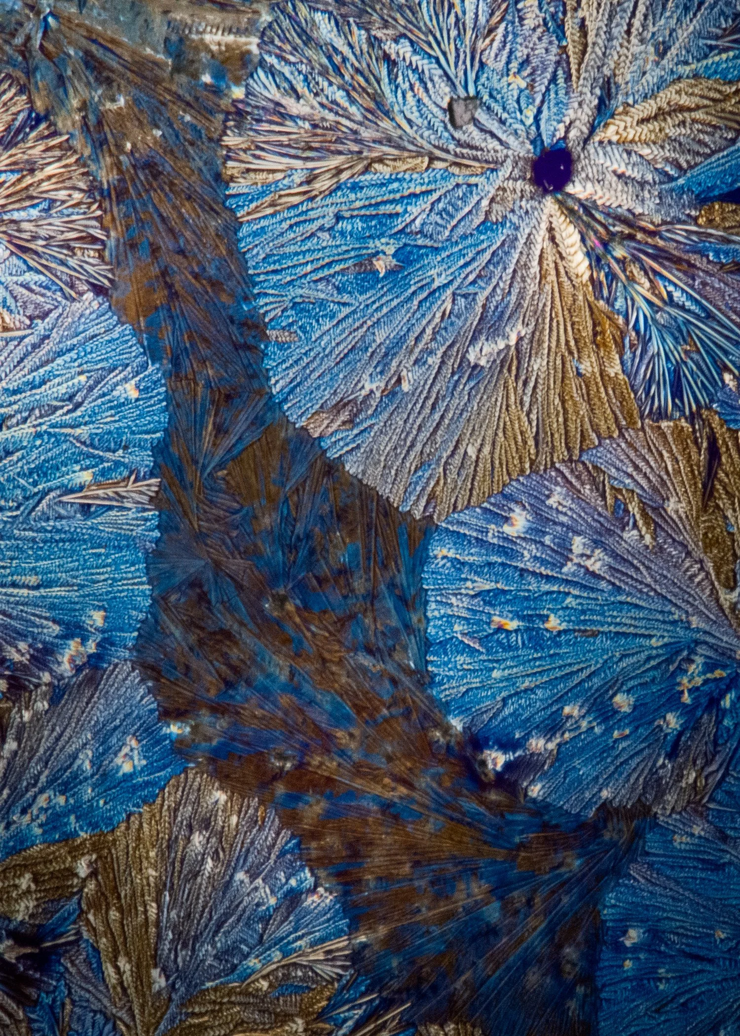 KC Society for Contemporary Photography