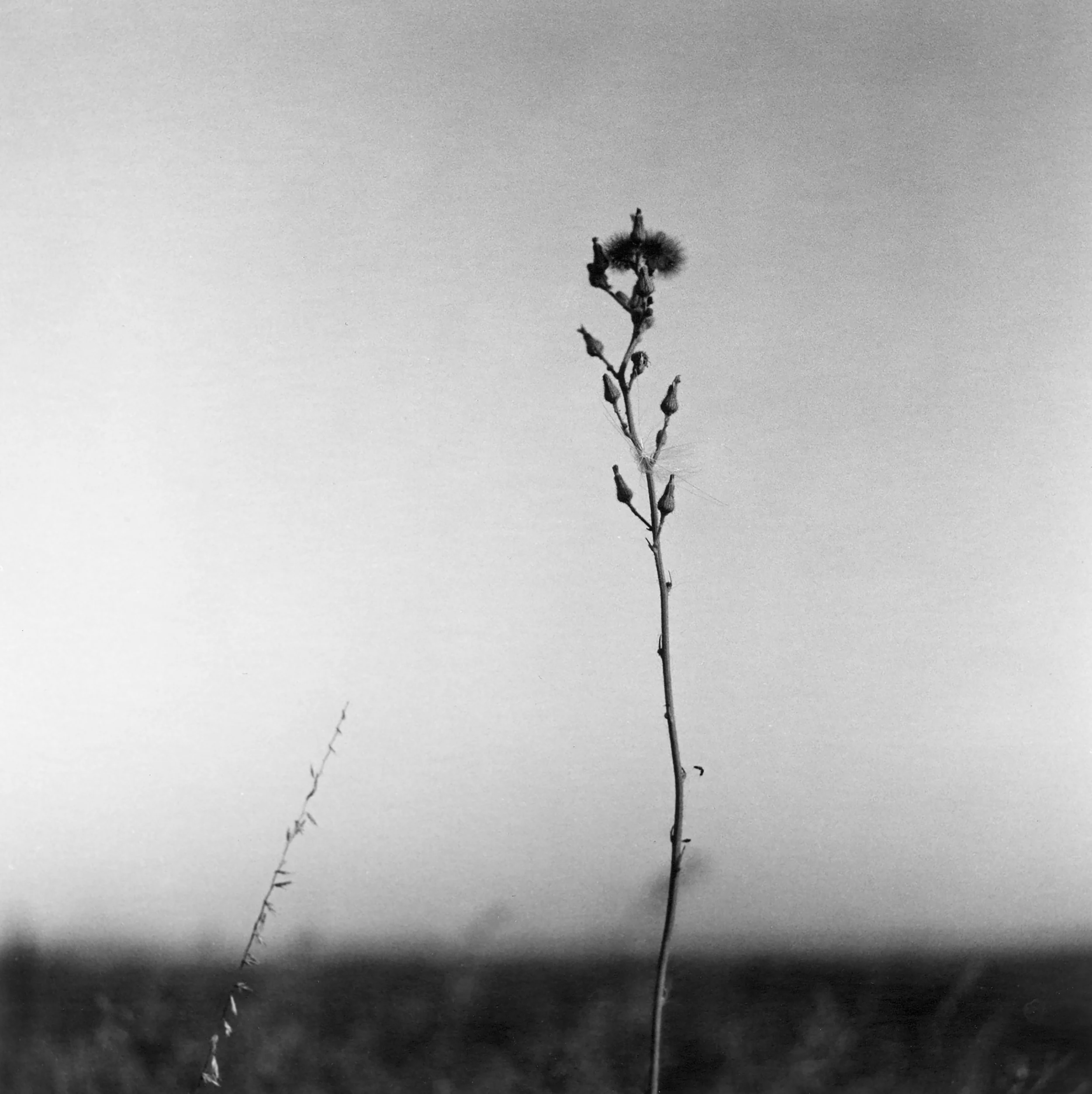 KC Society for Contemporary Photography