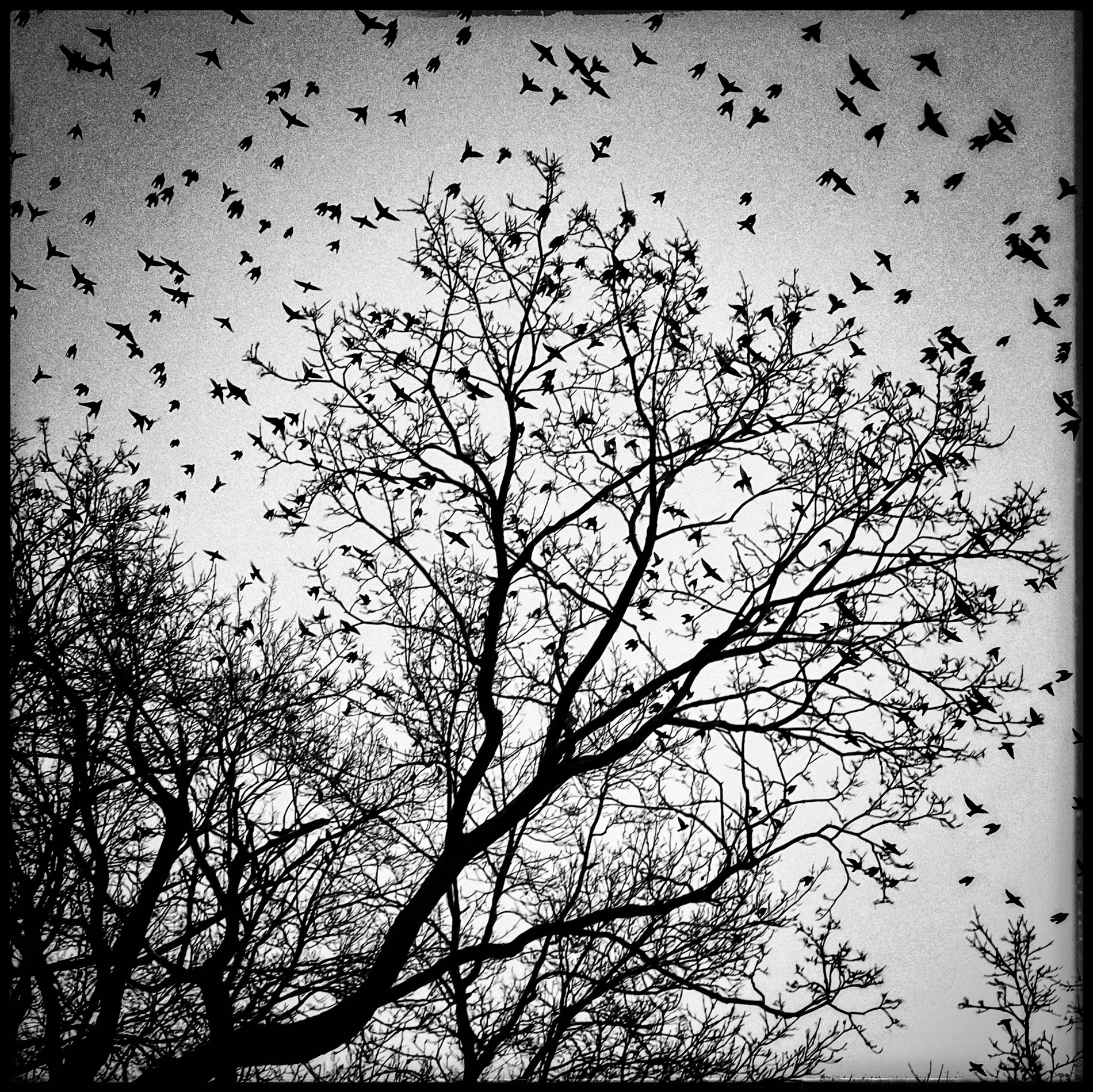 KC Society for Contemporary Photography