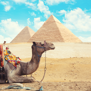 Greetings and Gestures in Egypt — Explore! Curriculum