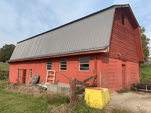Embracing Renewal: Transforming the Barn's Exterior — Tiny Thistle Studio