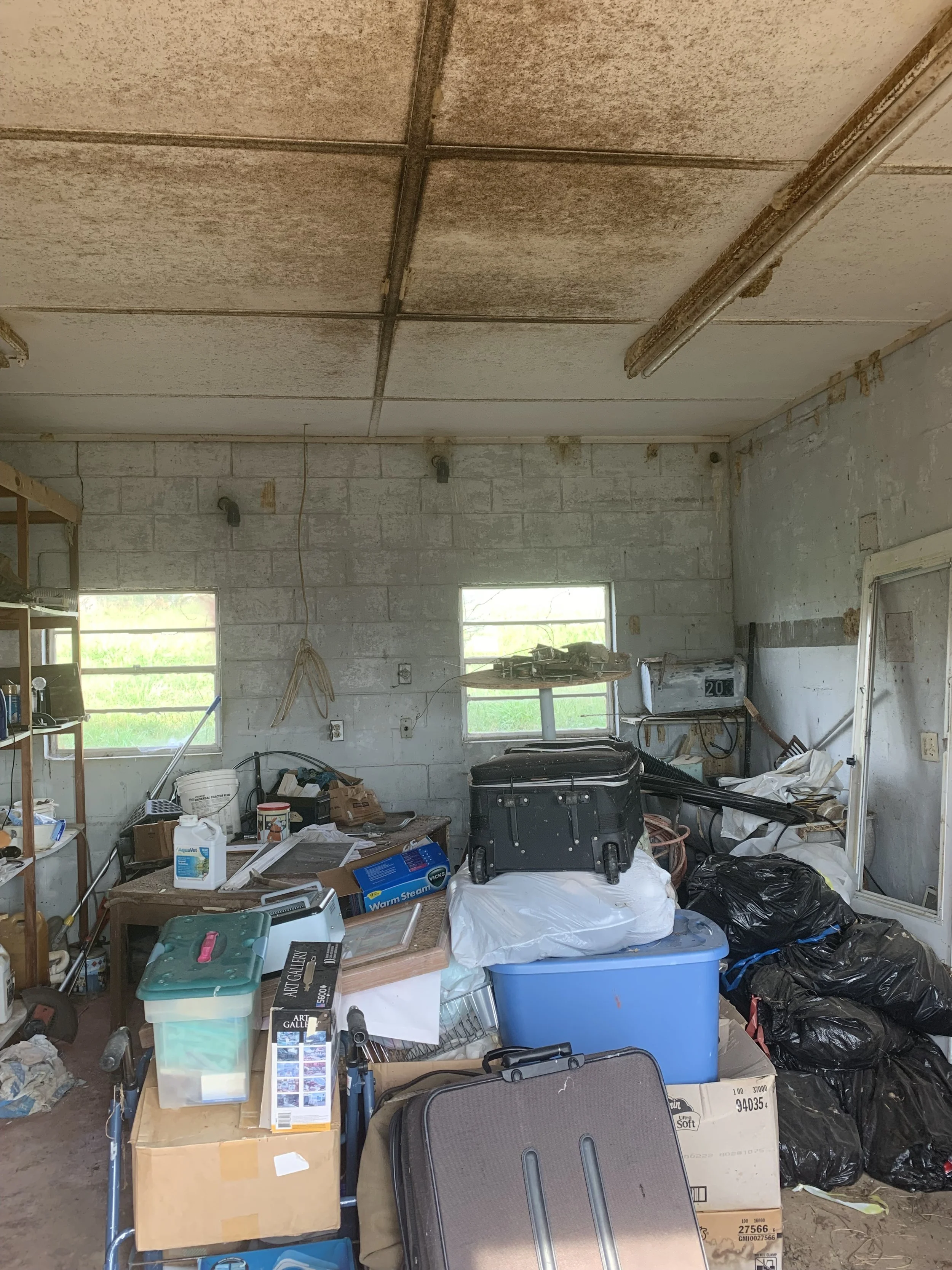 From Chaos to Clean: The Beginnings of Our Barn Conversion Project ...