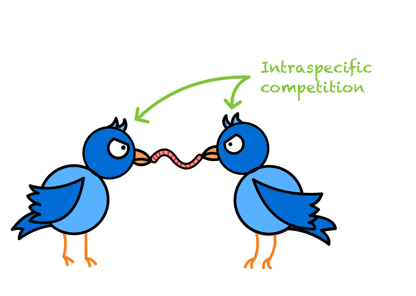 Get the Grade - National 5 Biology - Ecosystems | National 5 and Higher ...