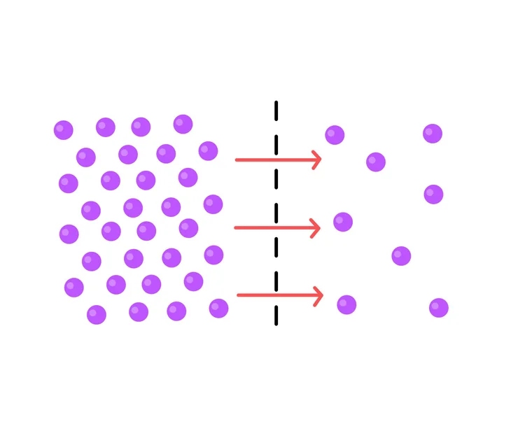 Get the Grade - National 5 Biology - Transport Across Membranes ...